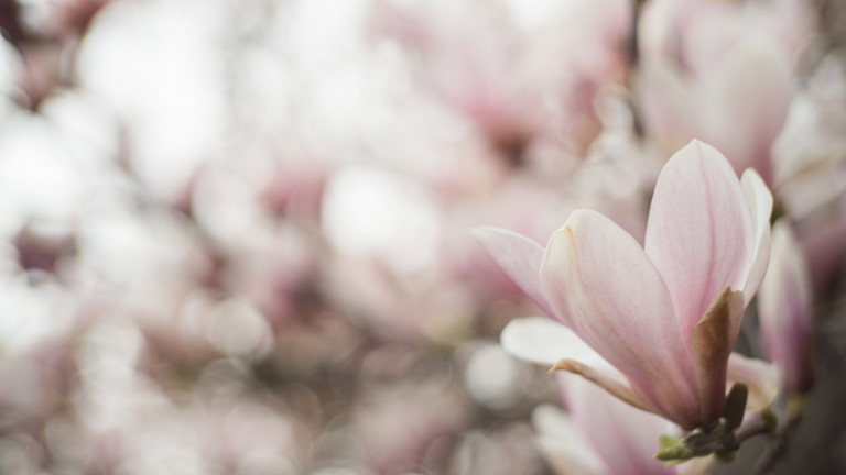 Review: Jupiter-3 50mm 1.5 - phillipreeve.net