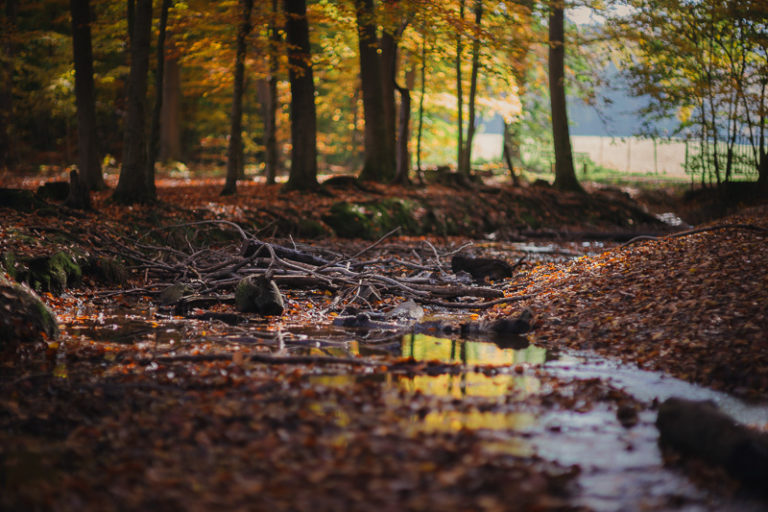 The manual photographers series part 1: Dan Noland - phillipreeve.net