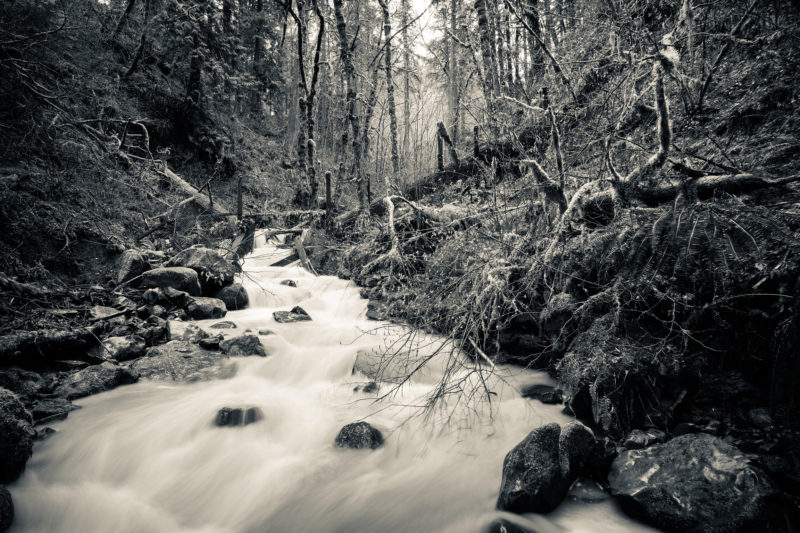 roaring stream - phillipreeve.net