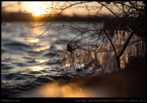 Long-term Review: Minolta MC Rokkor 1:1.2 58mm - phillipreeve.net