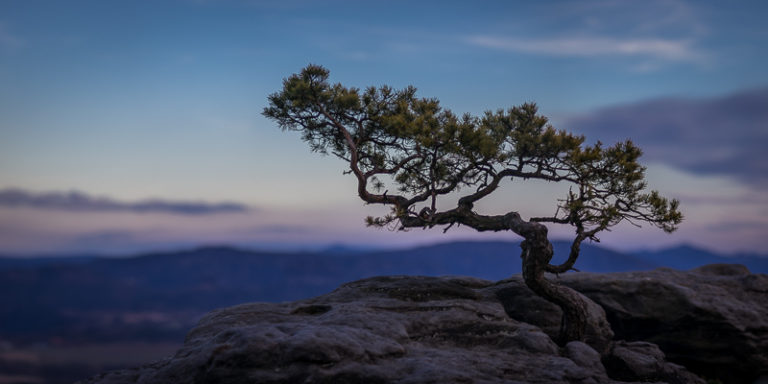 The best lenses for Brenizer / Bokehpanoramas - phillipreeve.net