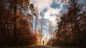 How to: Create Environmental Portraits - phillipreeve.net