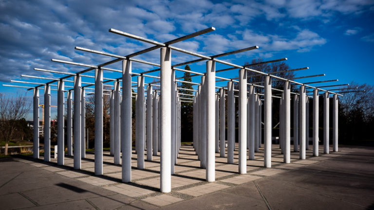 Review: MS-Optics 24mm 2.0 Aporia - phillipreeve.net