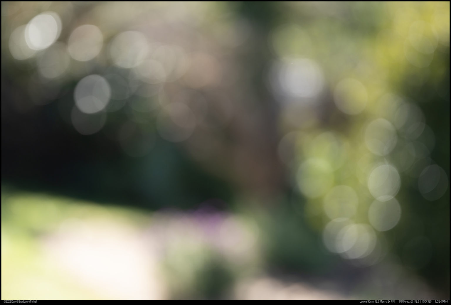 Laowa FFii 90mm F2.8 CA-Dreamer Macro 2x: getting close! - phillipreeve.net