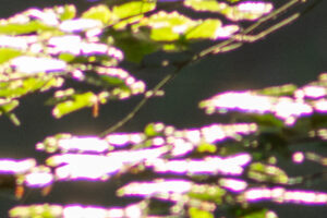 TTA_500_6.3_Sample_loCA_Crop - phillipreeve.net