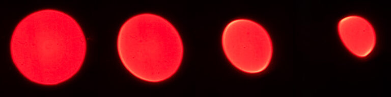 Review: Nikon Nikkor 55mm 1.2 Ai - The first f/1.2 F-mount lens ...