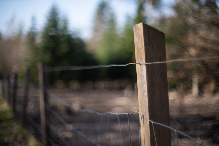 Comparison: Fast 55/58mm f/1.2 | f/1.4 Fullframe F-mount Lenses