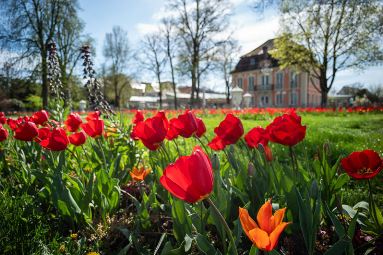 Review: Zeiss ZM 21mm 4.5 C-Biogon - phillipreeve.net