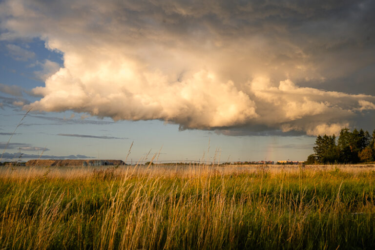 Review: Nikon Z 40mm f/2 - The Street Sniper for Discreet Photography ...