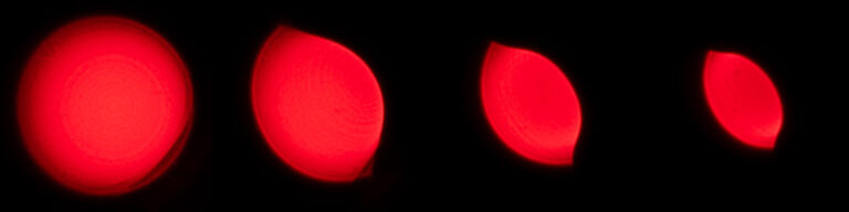 Review: Laowa 28mm T1.0 Argus - The world's fastest 28mm lens ...
