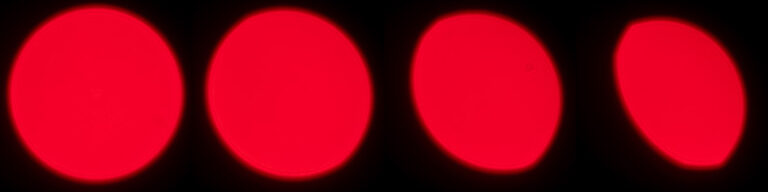 Review: Samyang 135mm 1.8 AF FE - phillipreeve.net