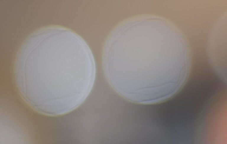 Review: Canon 50mm 0.95 - The original f/0.95 Dream Lens - phillipreeve.net