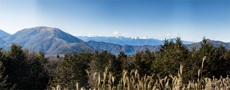 REVIEW: FotoPro Origin Plus Travel Tripod - phillipreeve.net