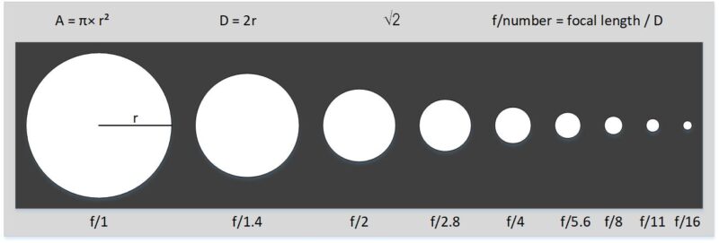 Understanding F-Numbers and Light Transmission - phillipreeve.net